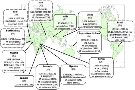 Substantial Numbers Of Non Tuberculous Mycobacteria Ntm Disease Download Scientific Diagram
