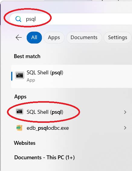 Installing PostgreSQL In Preparation For Retrieval Augmented Generation