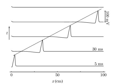 We Show Five Time Snapshots Of The Solutions −v X T Of Download