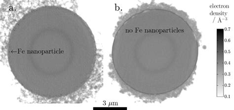 Representative Slices Of Cfs Electron Density Maps A An Unprotected