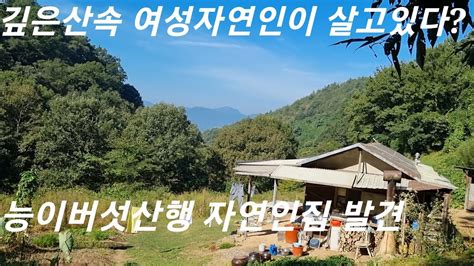 능이버섯산행 깊은산속 여성자연인이 살고있어요 능이버섯산행 능이 능이버섯 싸리버섯 싸리버섯산행 자연인 자연인이다 나는자연인이다