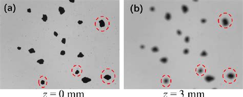 Figure 1 From Depth From Defocus Technique For High Number Densities And Non Spherical Particles