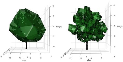 Examples Of Crown Convex Hull Tree Crown Is Represented By A A