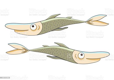 물고기 연어 하얀 배경에 고립 된 바다 생물 벡터 일러스트레이션 강에 대한 스톡 벡터 아트 및 기타 이미지 강 건강한 식생활 고기 Istock