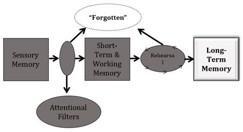 Lab 11 False Memory Remembering Things That Never Happened Lab 11 False Memory Remembering Things That Never Happened