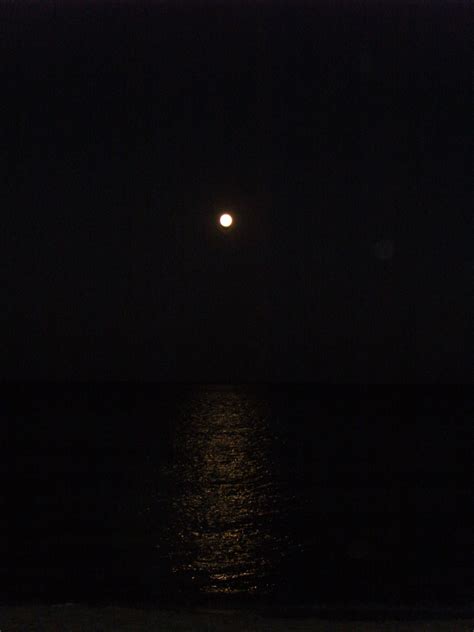 무료 이미지 바다 빛 웨이브 분위기 신비로운 어두운 저녁 어둠 검은 조명 보름달 월광 신비한 우울한 한밤중 미러링 물 반사 천체 밤의