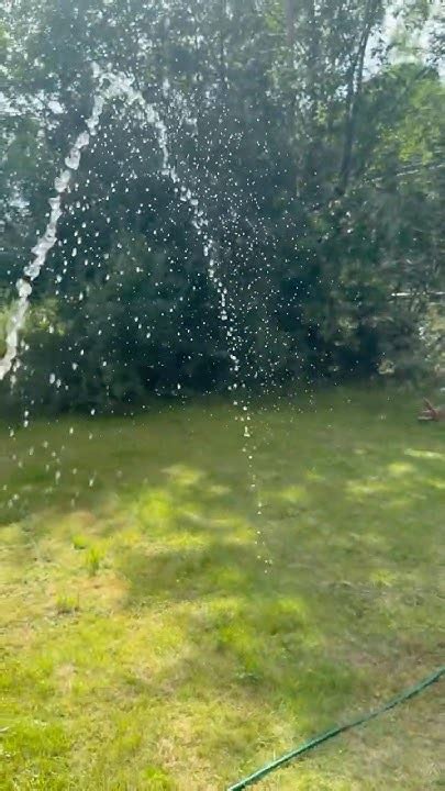 Dränkbar Pump 275 L Min 1100 W Youtube