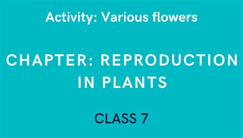 Various Flowers In Reproduction In Plants Class 7 Science Experiment