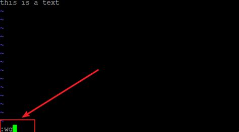 How To Save A File Using Vi Vim Text Editor In Apple Mac OS OSETC TECH