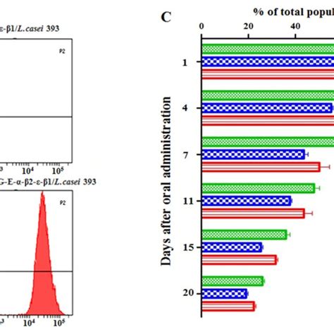 Colonization Ability In The Intestine Of The Recombinant Lactobacillus