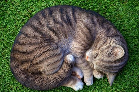 昼間の眠気に耐えられない仕事に集中するための眠気対策 すこーふの生き方
