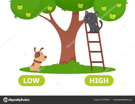 Illustration Opposites Low High Stock Vector Image by ©nizovatina ...