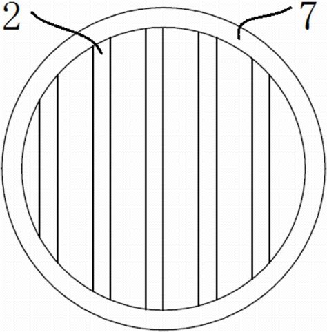 一种西瓜子房切片装置的制作方法