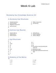 Week 6 Lab A P II Docx Week 6 Lab Kimberly Buscemi Reviewing Your Knowledge Exercise 24 A