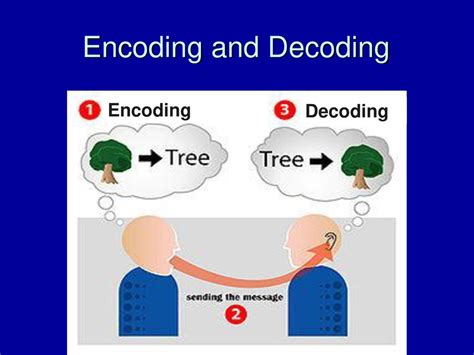 Lecturer Dr Damon I Vincent Ppt Download