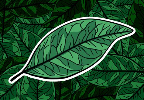 What Is Leaf Pattern Infoupdate Org