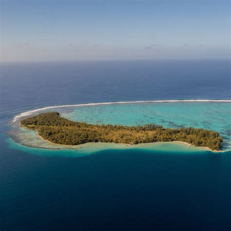 Nao Nao Voyage Avec Vue