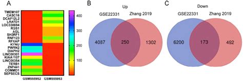 Explore The Degs Between Gse22331 And Xiaoning Zhangs Study A