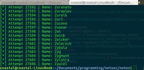Owasp Bwa Webgoat Challenge Injection Flaws Byte Sized