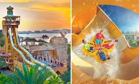 پارک آبی وایلد وادی دبی، قیمت و تصاویر پارک وایلد وادی