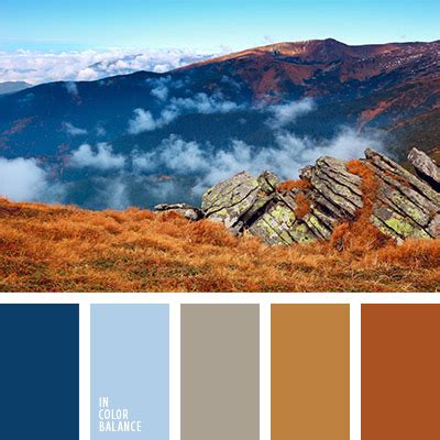 золотисто-коричневый цвет | IN COLOR BALANCE