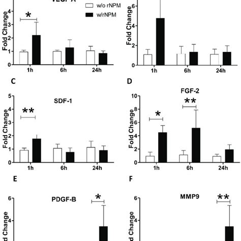 A F Gene Expression Regulation Of Angiogenic Genes A The Graph
