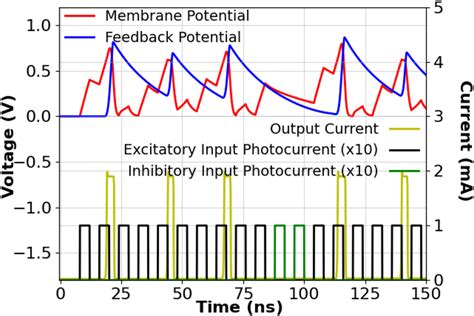 Basic Spiking Behavior With Excitatory And Inhibitory Input Inhibitory
