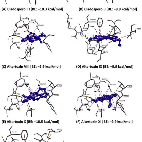 The Molecular Dynamics Simulation Trajectories From 100 Ns Simulation