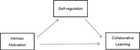 Table 3 From The Mediating Effect Of Self Regulation On The Relationship Between Intrinsic