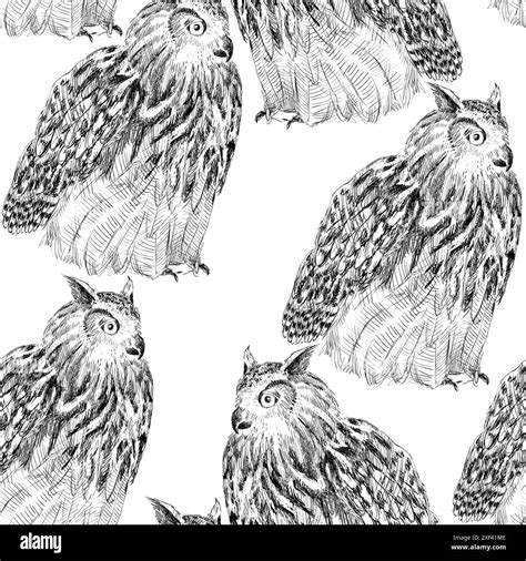 Sketch Of Owl On A White Background Seamless Pattern Stock Vector