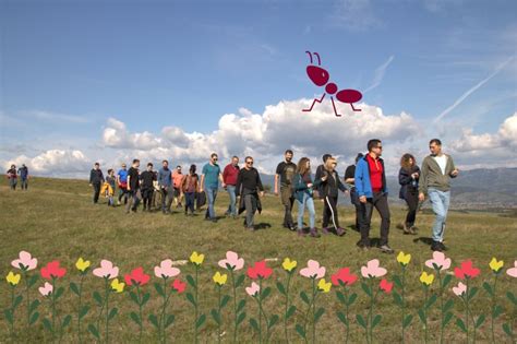 Agile Networks Technologies On Linkedin Happyspring