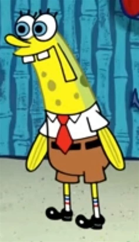 Spongechovy Fandom
