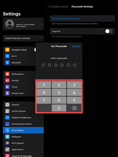 IPad Kiosk Mode How To Lock An IPad Screen Bosstab