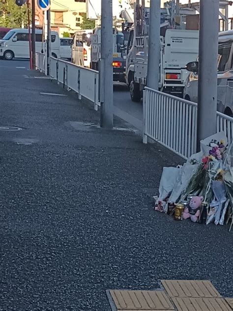 仲本工事さんの事故現場で地元民のひとりは「どうしてここを渡っちゃったのかしら」と嘆いた｜newsポストセブン