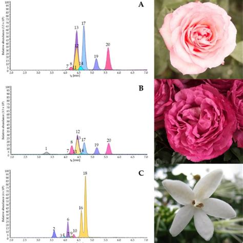 The Extracted Ionic Currents Eics Of [m] Or Protonated Molecules [m Download Scientific