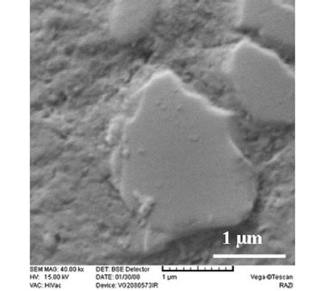 Sem Micrograph Of The Interface Of A Sicp With The Matrix Of Sample 5 Download Scientific Diagram