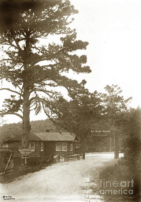 Del Monte Forest Gate Pass At Lauren Ham Blog