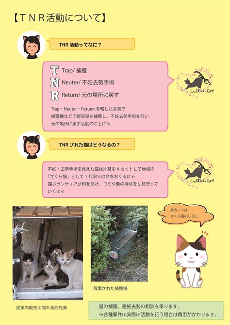 Tnr活動 サービス しっぽのしらべ