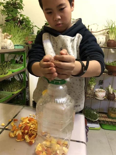 環保酵素浸泡果蔬農藥殘留檢測數據為0從此吃上放心菜 每日頭條