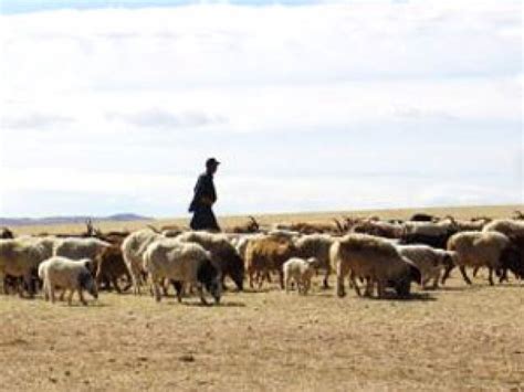 “Хөдөө аж ахуйн гаралтай бараа түүхий эдийн биржийн тухай” хуулийн