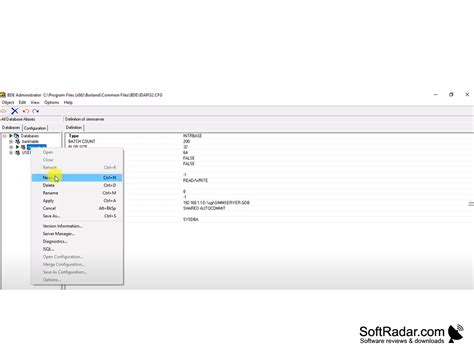 Download Borland Database Engine For Windows 11 10 7 881 64 Bit