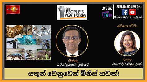 ලෝක සත්ව දිනයට සමගාමීව පැවැත්වෙන විශේෂ වැඩසටහන සතුන් වෙනුවෙන් මිනිස් හඩක් Youtube