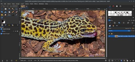 Gdk Pixbuf And Gimp Plugins Fail To Decode Valid Jxl File · Issue 2456 · Libjxllibjxl · Github