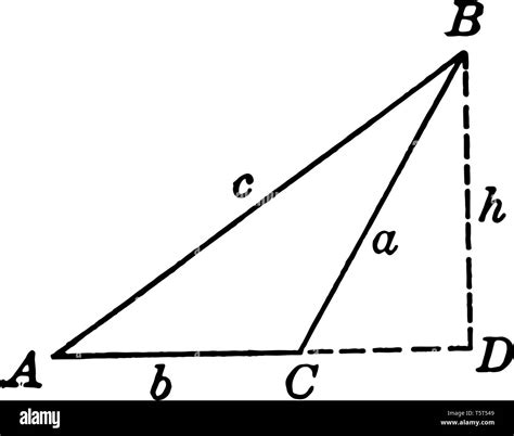 Obtuse Angles Cut Out Stock Images And Pictures Alamy