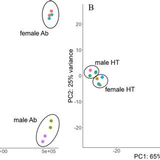 Principle Component Analyses Of MRNA Sequencing A And MiRNA Download Scientific Diagram