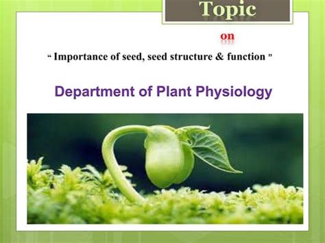Seed Structure Parts Of A Seed Types Pptx Gardening Home And Garden