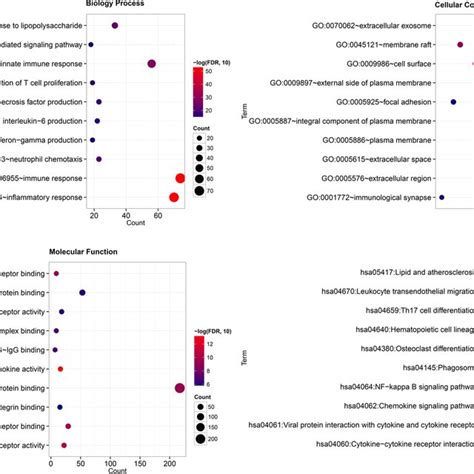 Bubble Display Diagram Showing The Biological Process Cellular