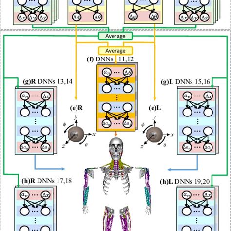 Sensorimotor System Architecture Showing The Modular Neural Network Download Scientific