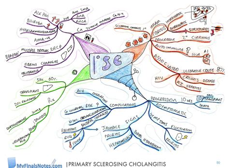 Primary Sclerosing Cholangitis