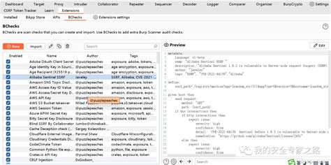 Bchecks Poc Burpsuite Burp Site Bchecks Csdn